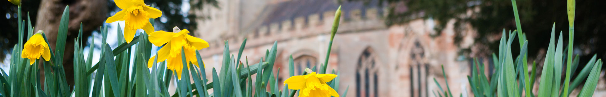 Religious and secular funerals | Funeral Plans